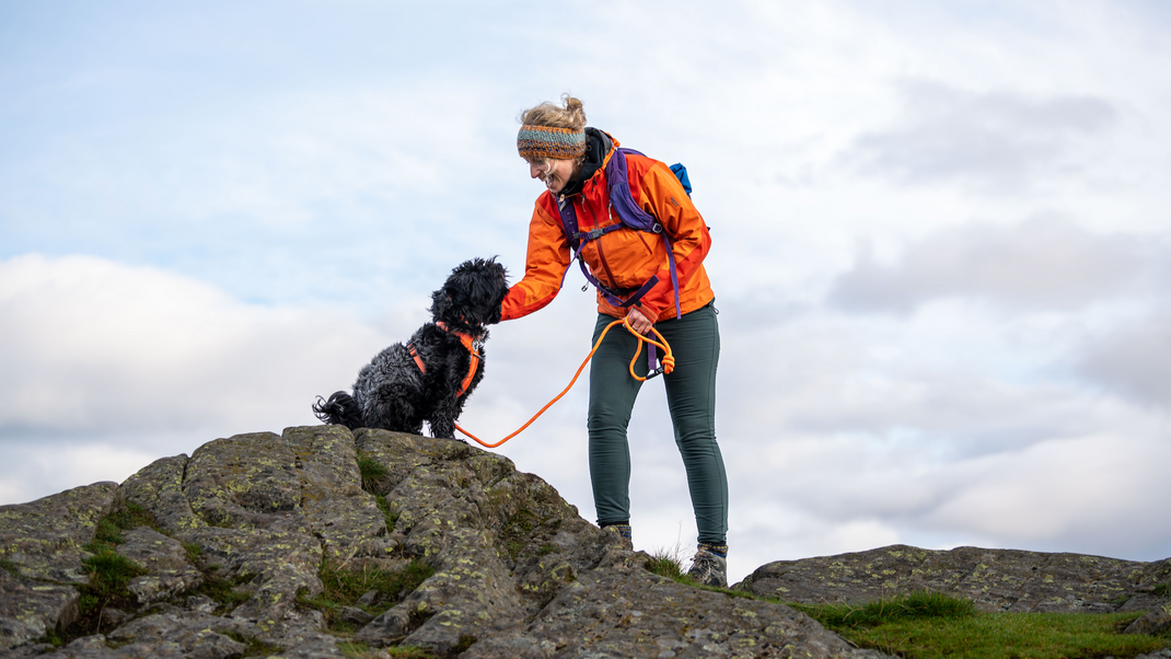Fell Dog | Adventure Gear for Dogs